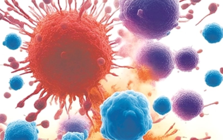 食鹽可提升免疫細胞抗癌能力 | 八闋