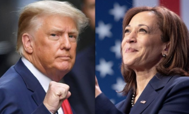 Trump'S Support In The Us General Election Is Strong | PopYard
